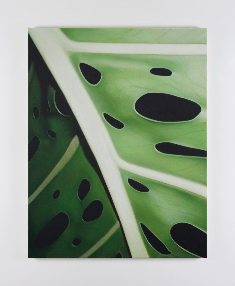 Marcel Vidal - Artists - Kerlin Gallery