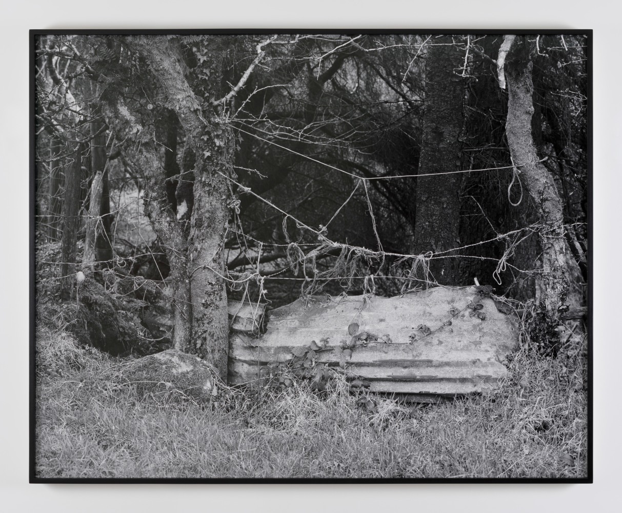 Willie Doherty - IS AND IS NOT - Exhibitions - Kerlin Gallery