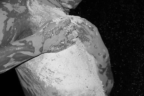 Samuel Laurence Cunnane and Ryan Moffett - Fortnightly Features ...