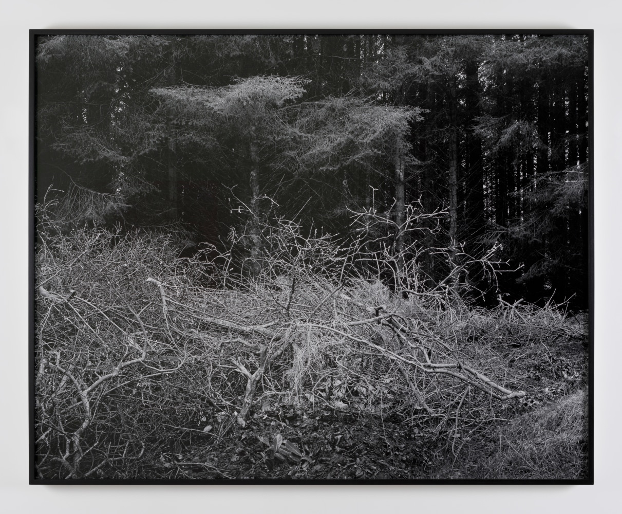 Willie Doherty - IS AND IS NOT - Exhibitions - Kerlin Gallery