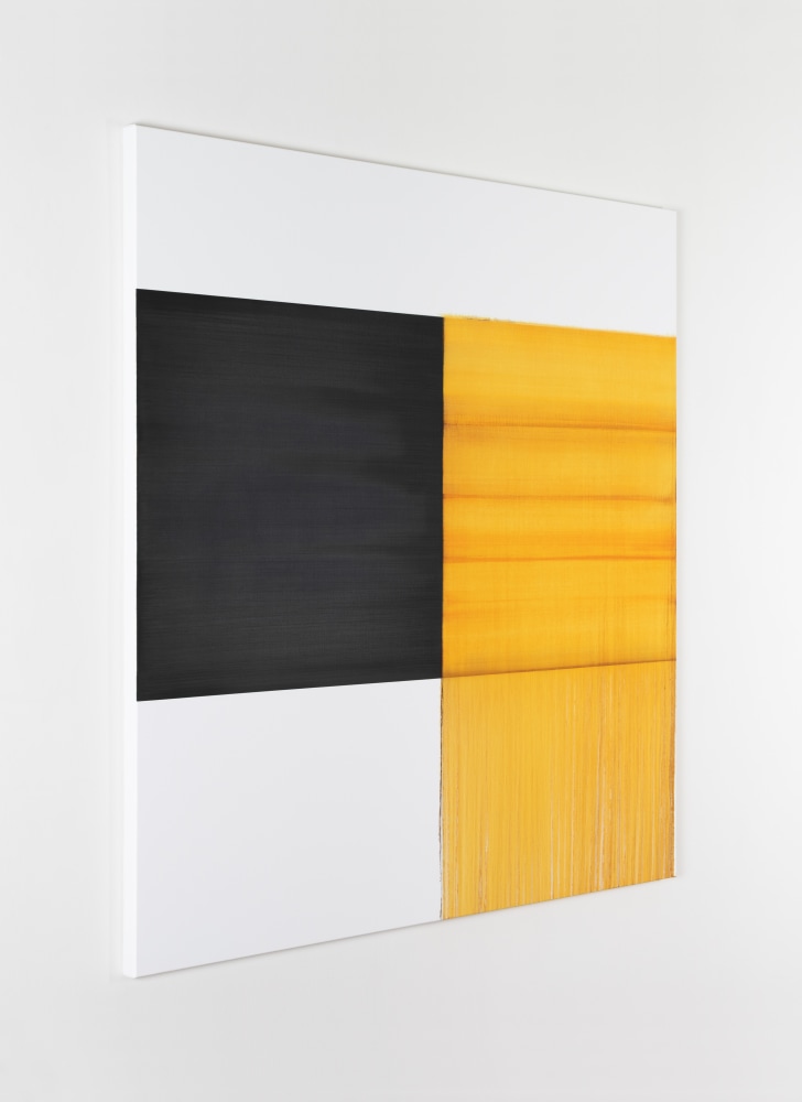 Callum Innes - Artists - Kerlin Gallery