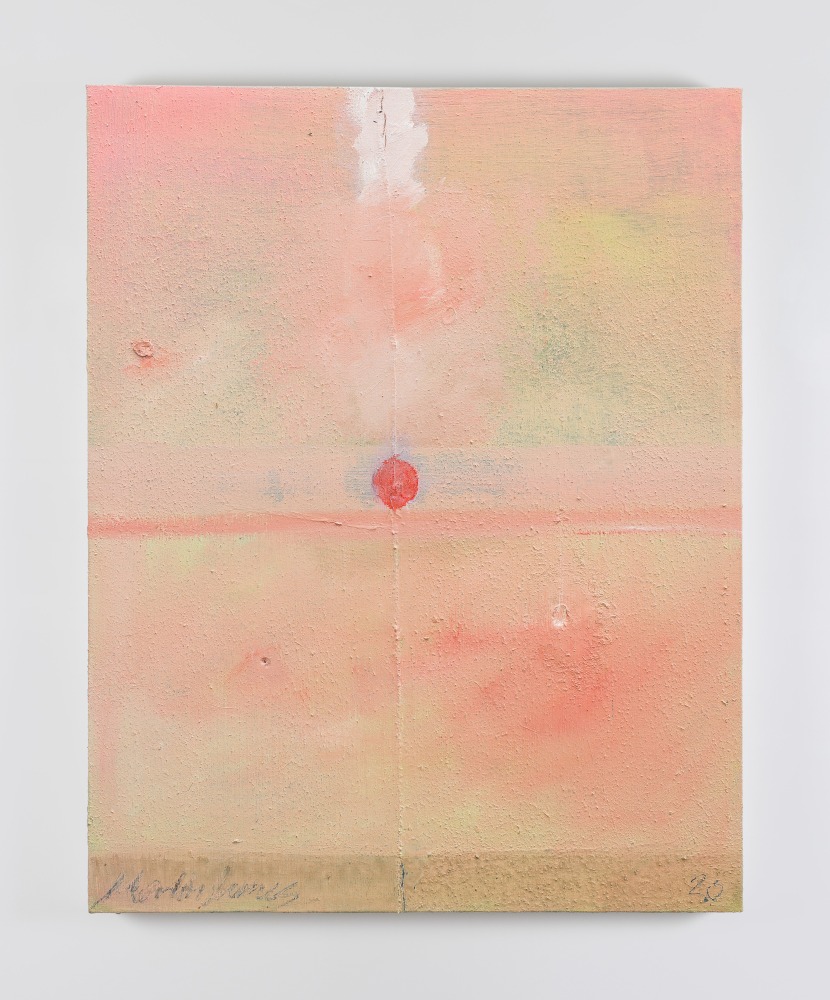 Merlin James - Artists - Kerlin Gallery