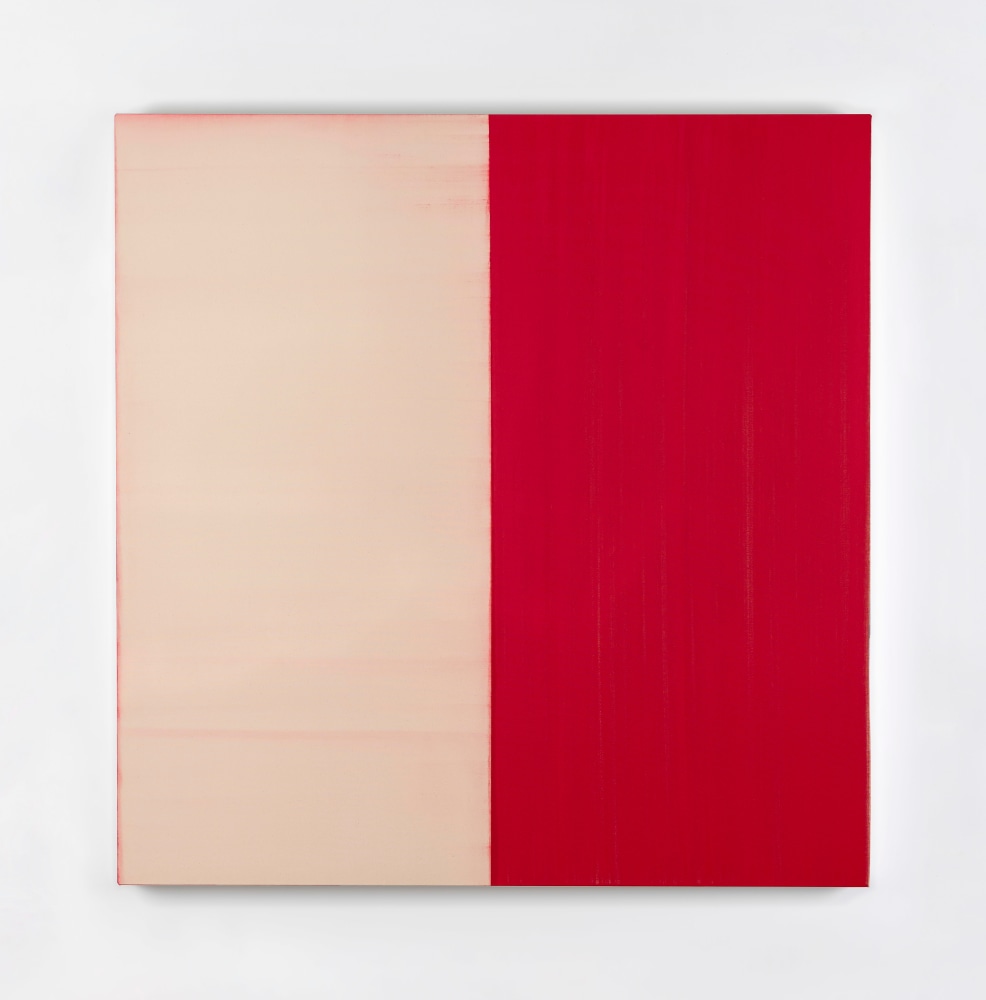 Callum Innes - Artists - Kerlin Gallery