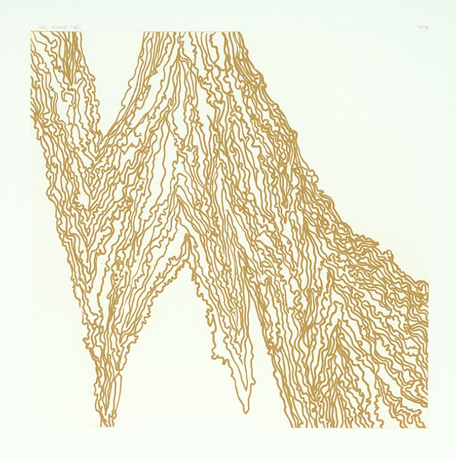 Jay Shinn - Artists - Moody Gallery