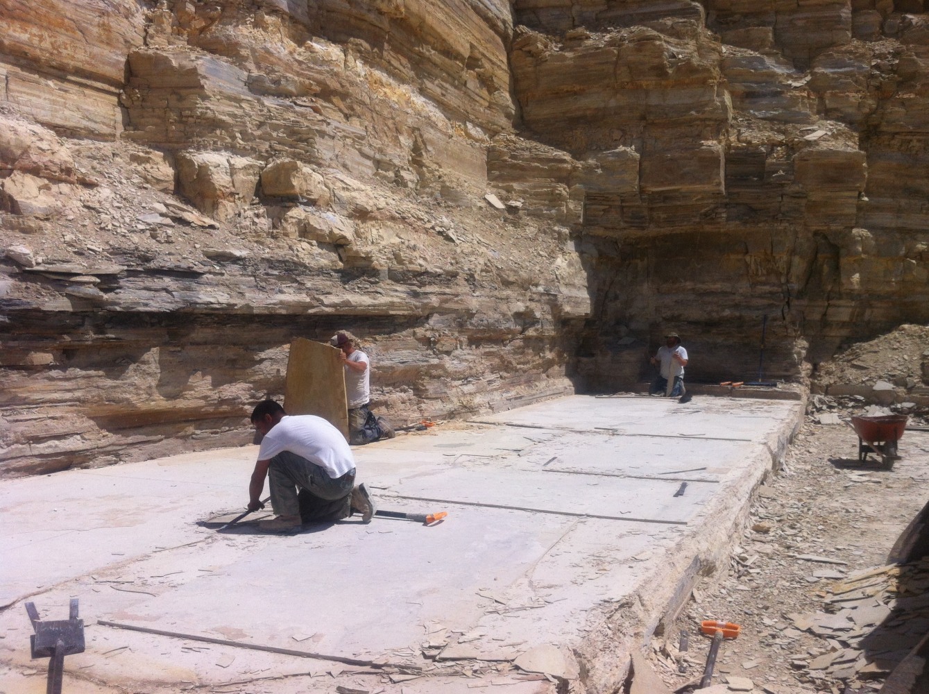 Green River Fossil Quarry - - About-Items - Natural Fossil Art and Design