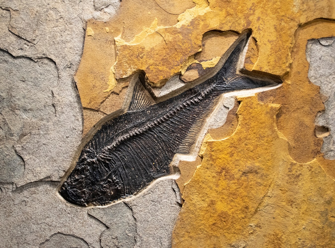 Mural 3800am (SOLD) - A vertical mural quarried from "Volcanic Ash ...