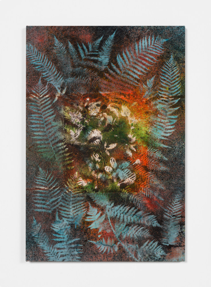 Sam Falls - Artists - Galerie Eva Presenhuber