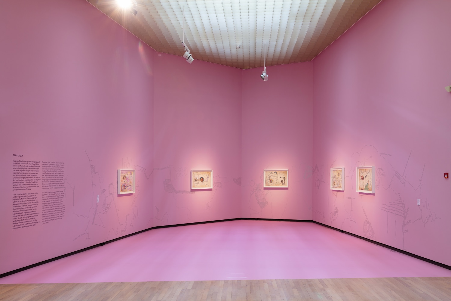 Guadalupe Maravilla: Sound Botánica - Henie Onstad Kunstsenter ...