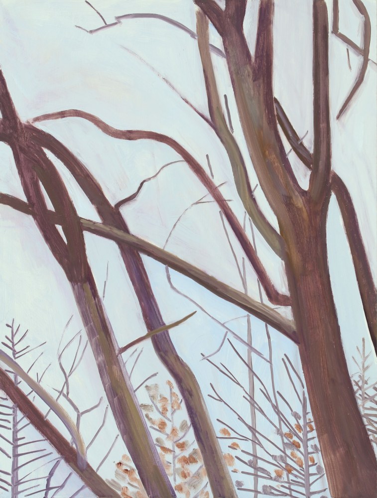 Lois Dodd - Artists & Work - Alexandre Gallery