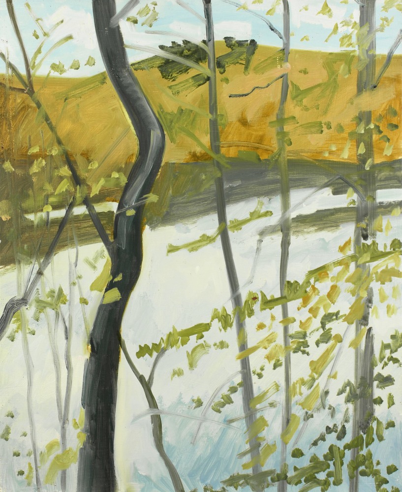 Lois Dodd - Artists & Work - Alexandre Gallery