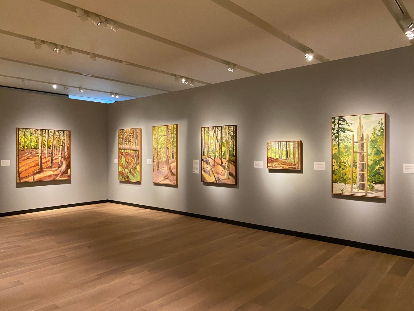Lois Dodd - Natural Order - Exhibitions - Alexandre Gallery