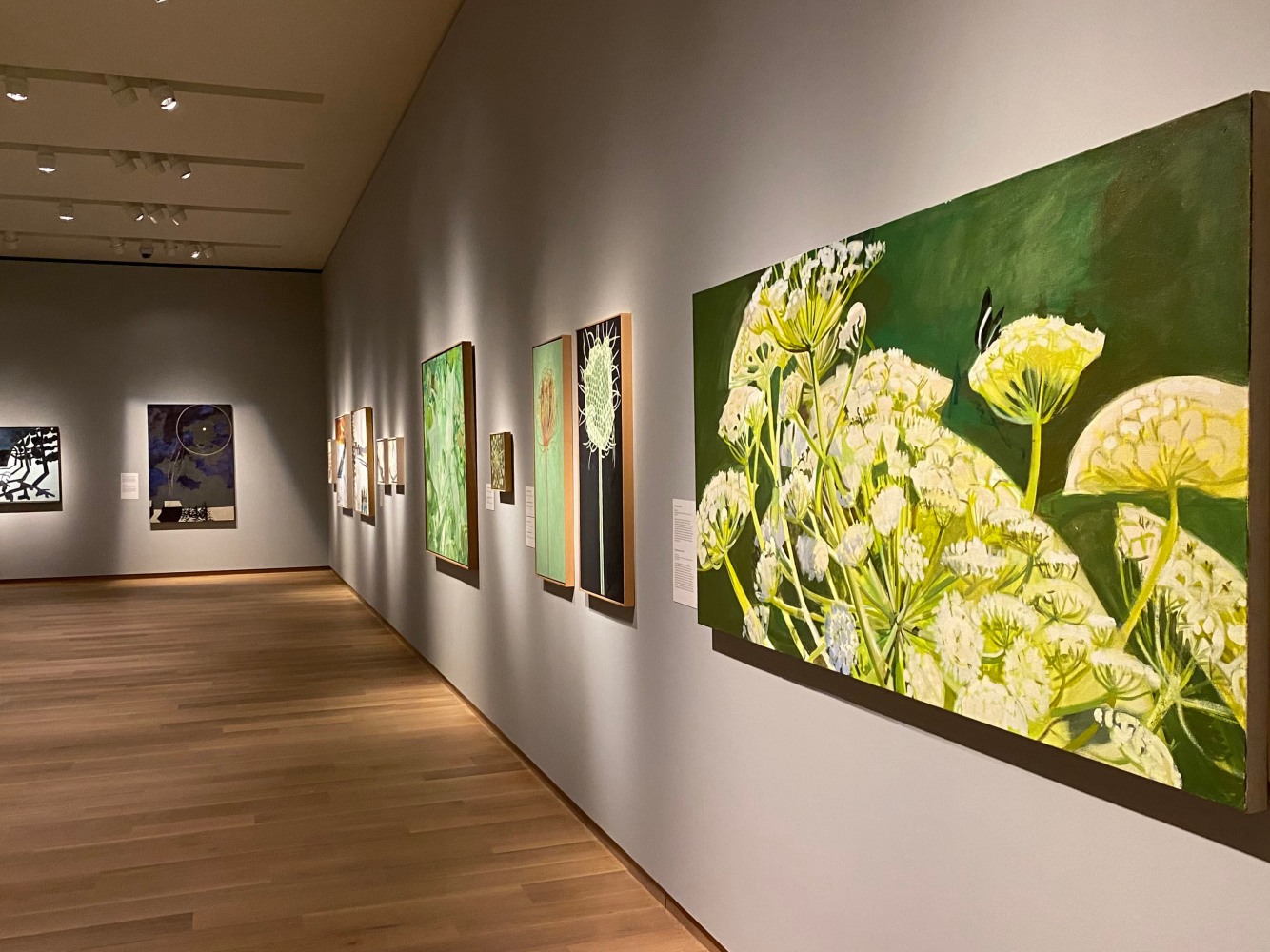 Lois Dodd - Natural Order - Exhibitions - Alexandre Gallery