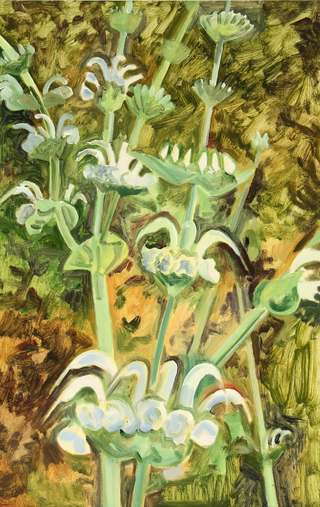 Lois Dodd - Artists & Work - Alexandre Gallery