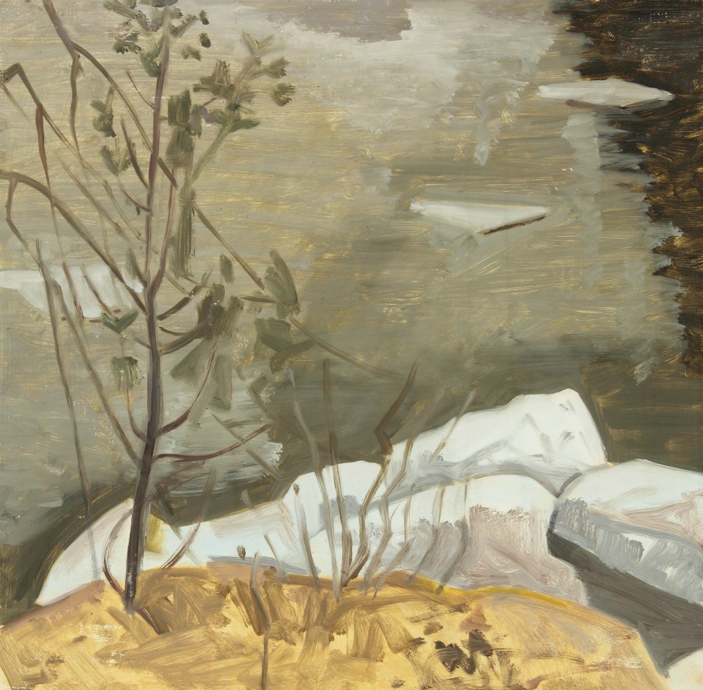 Lois Dodd - Artists & Work - Alexandre Gallery