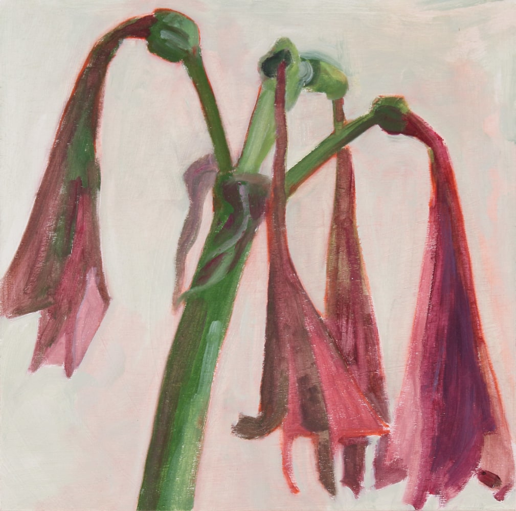 Lois Dodd - Artists & Work - Alexandre Gallery