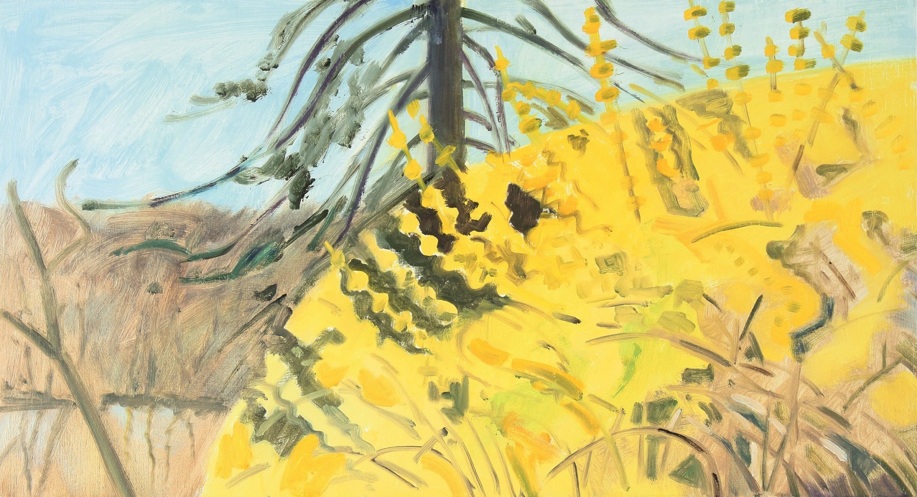 Lois Dodd - Artists & Work - Alexandre Gallery