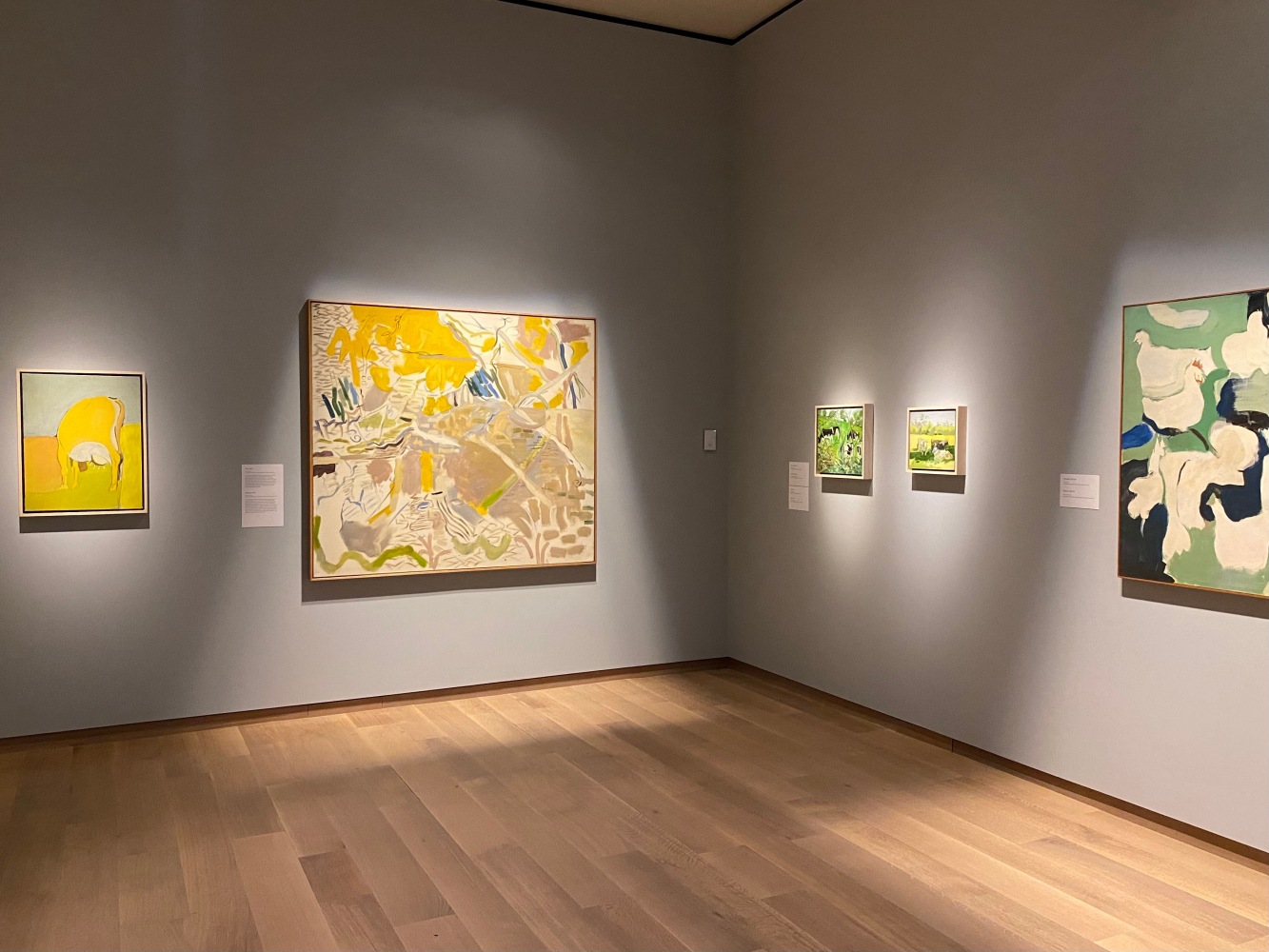 Lois Dodd - Natural Order - Exhibitions - Alexandre Gallery