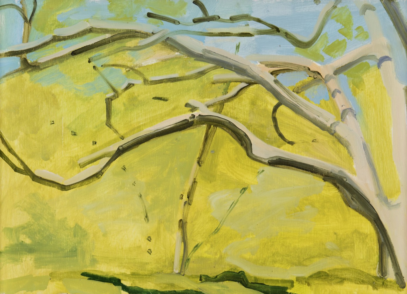 Lois Dodd - Artists & Work - Alexandre Gallery