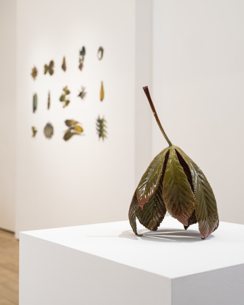Leaf, stem, twig - Exhibitions - HB381