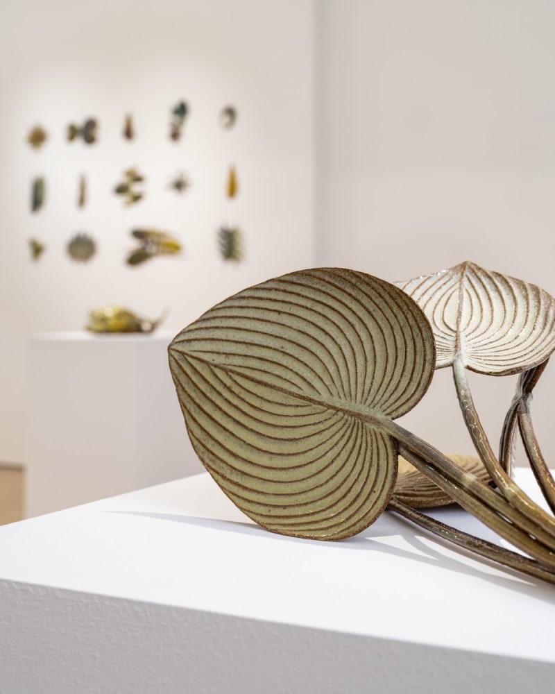 Leaf, stem, twig - Exhibitions - HB381