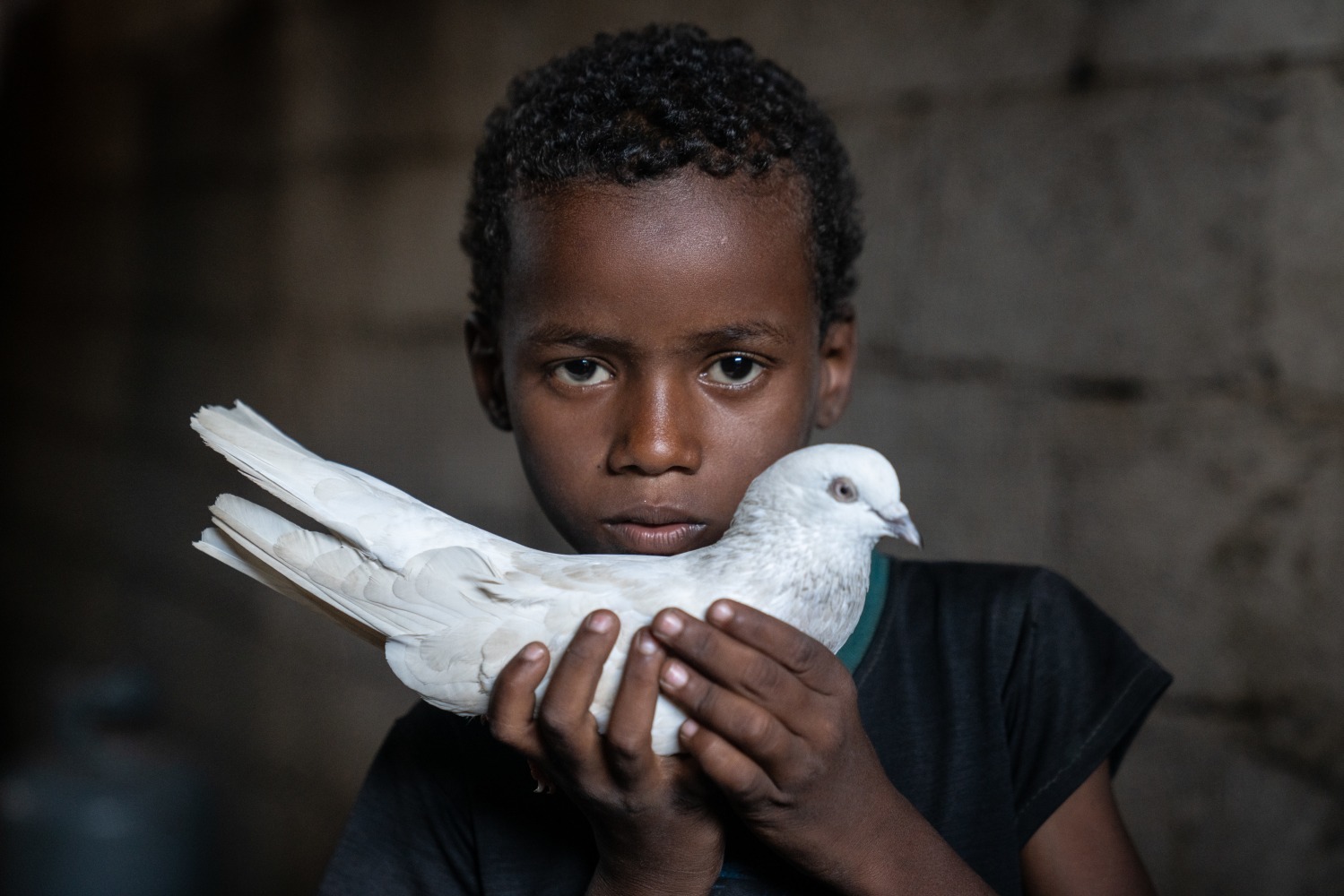 Ilaria Quadrani Fine Arts - - Features - The Association of ...