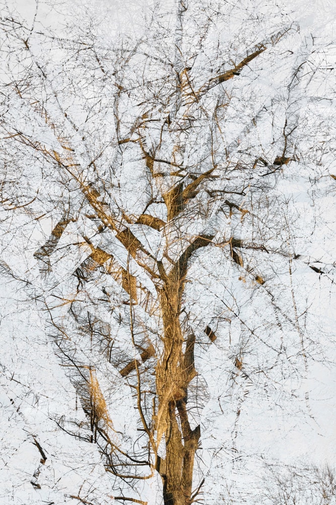 Koslov Larsen - - Features - The Association of International ...