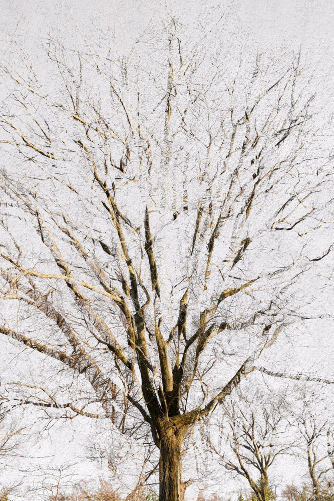 Koslov Larsen - - Features - The Association of International ...