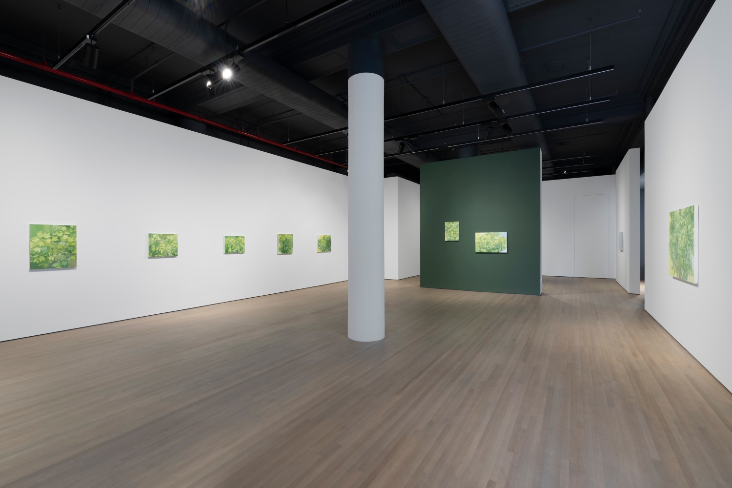 Sylvia Plimack Mangold - - Exhibitions - 125 Newbury Gallery