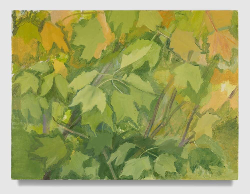 Sylvia Plimack Mangold - - Exhibitions - 125 Newbury Gallery