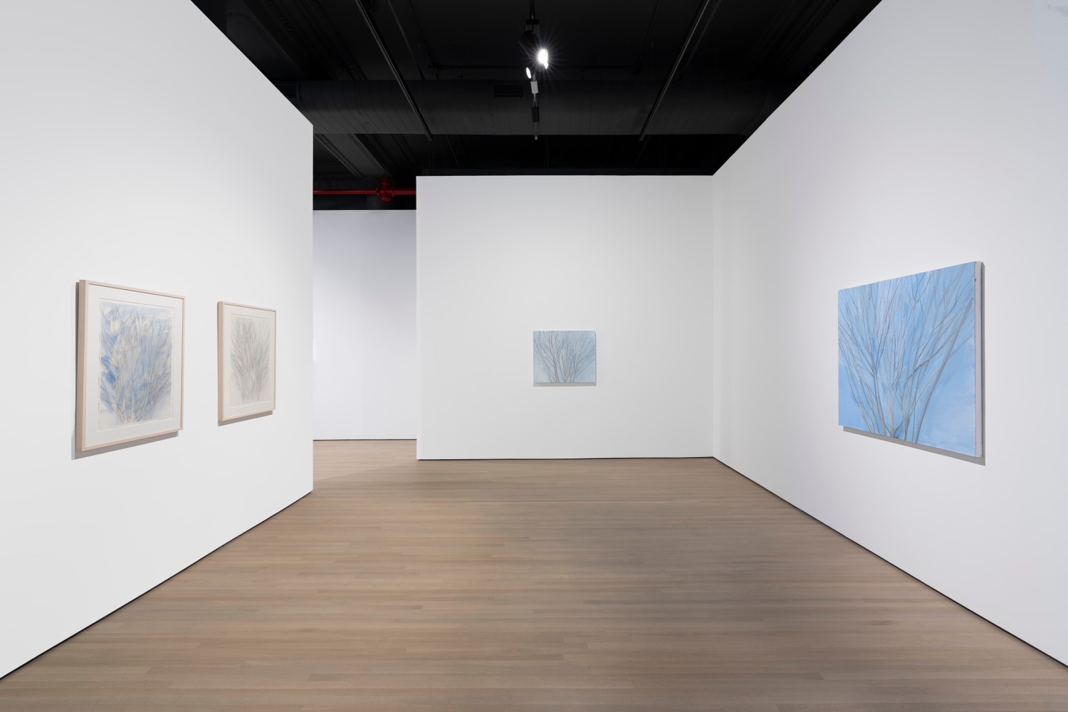 Sylvia Plimack Mangold - - Exhibitions - 125 Newbury Gallery