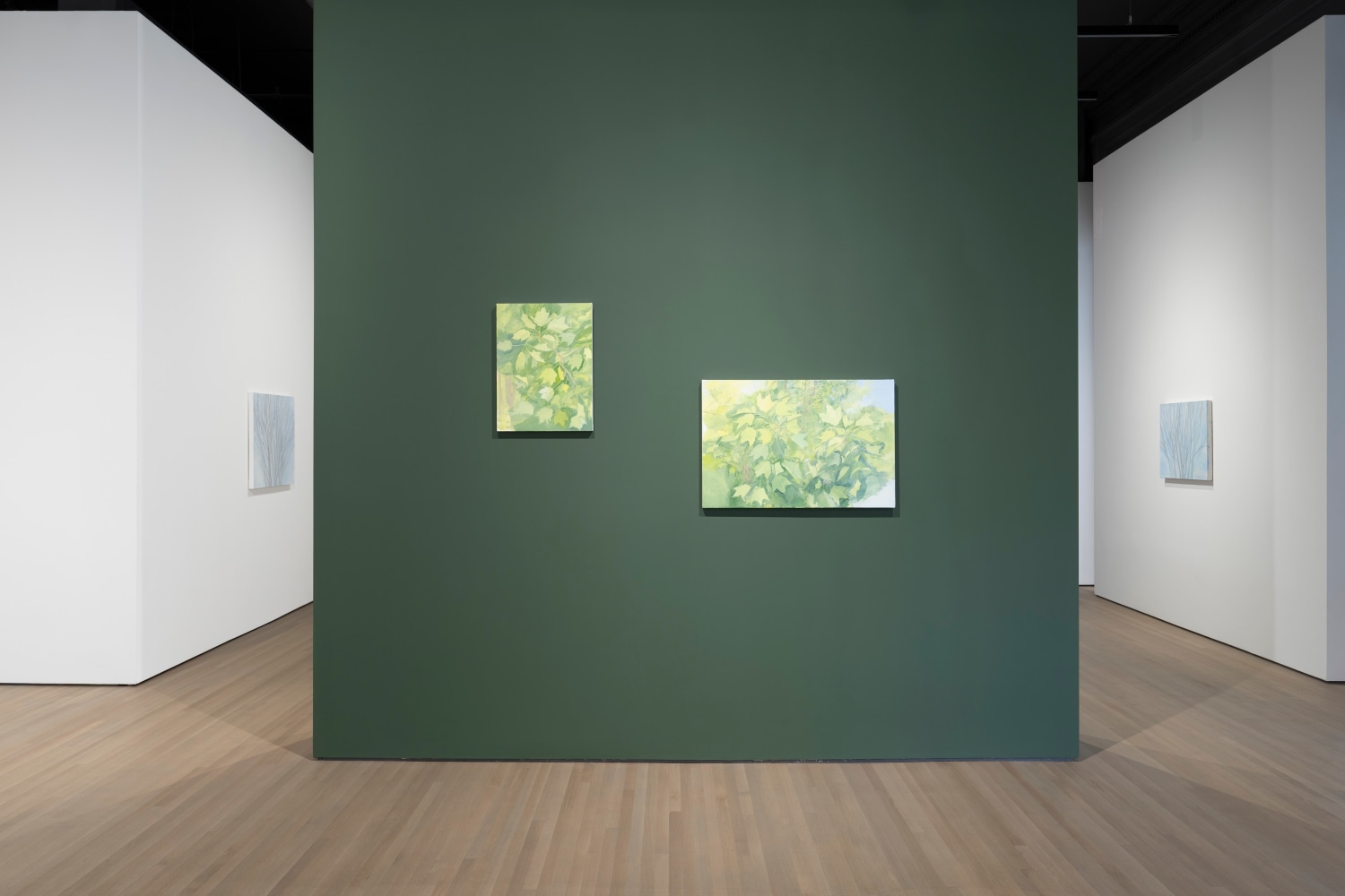 Sylvia Plimack Mangold - - Exhibitions - 125 Newbury Gallery