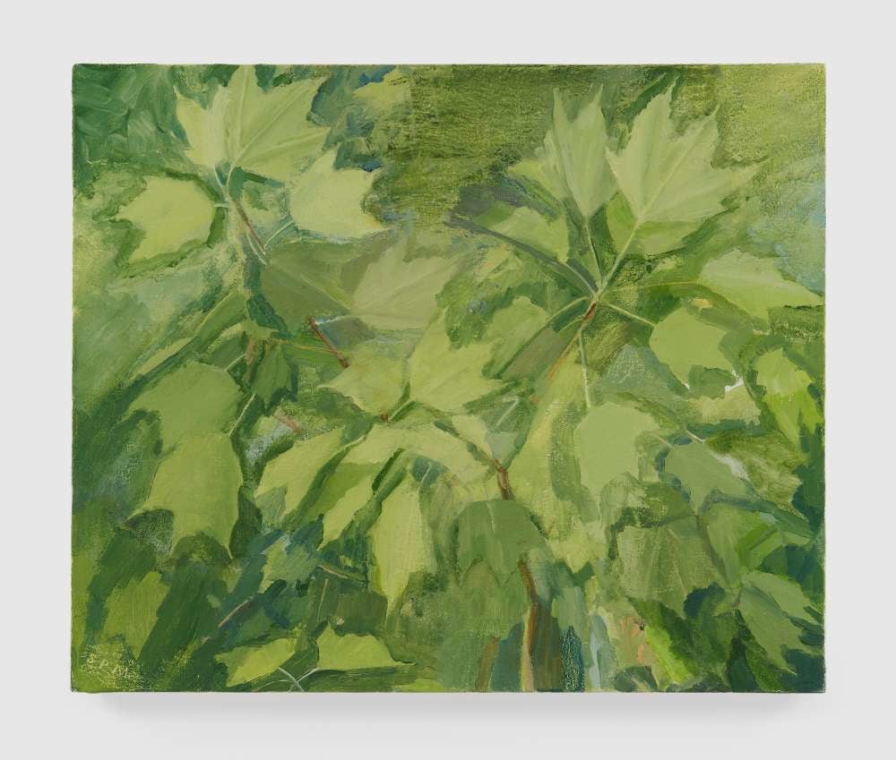 Sylvia Plimack Mangold - - Exhibitions - 125 Newbury Gallery