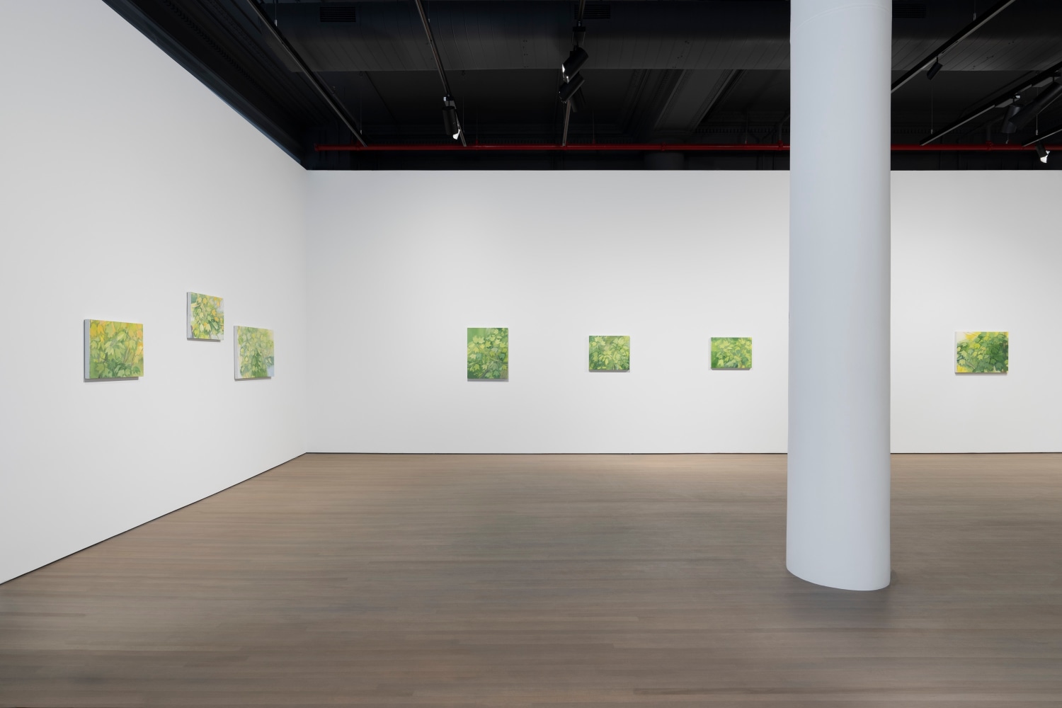 Sylvia Plimack Mangold - - Exhibitions - 125 Newbury Gallery