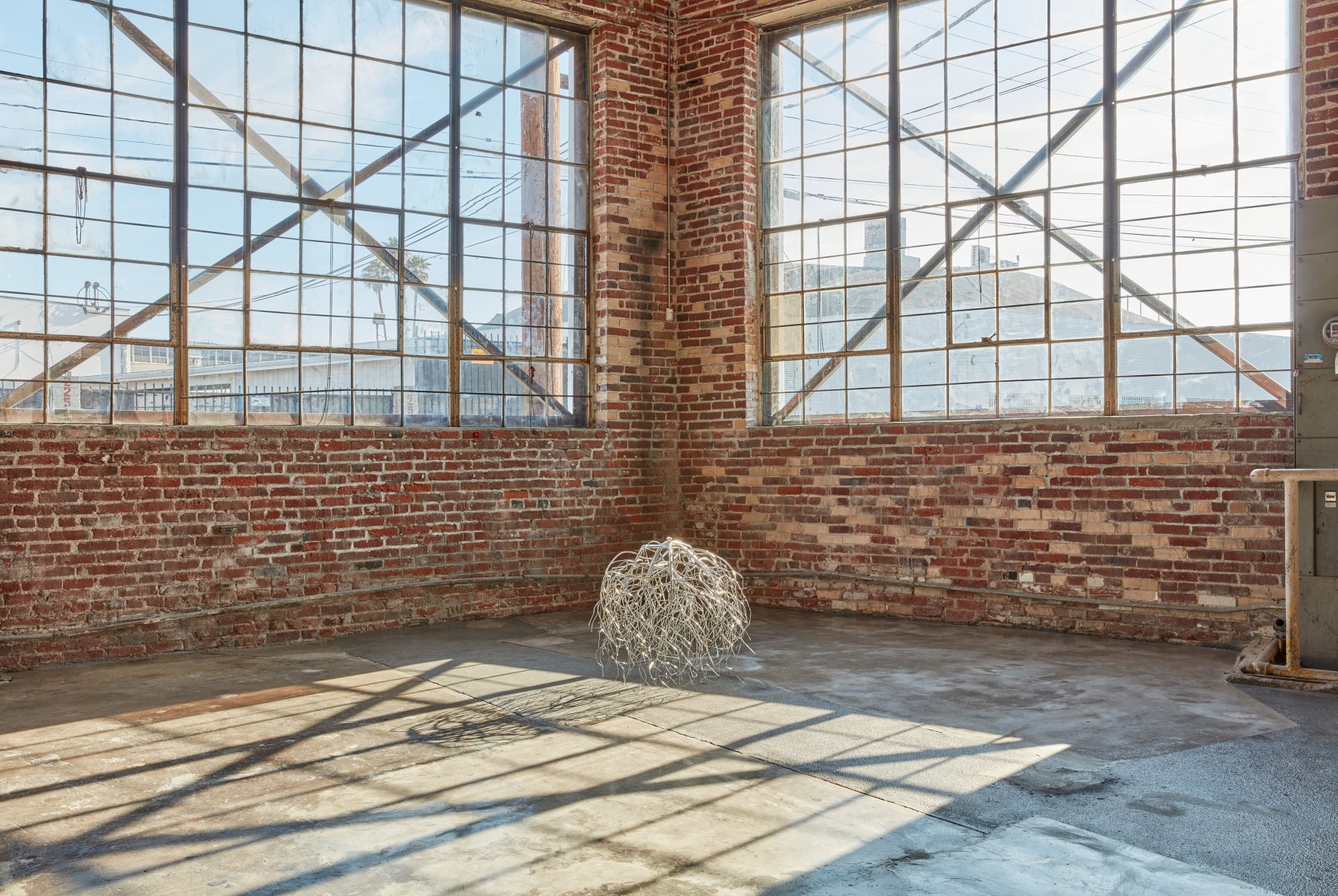 JOSH CALLAGHAN - Family Tree - Viewing Room - Night Gallery