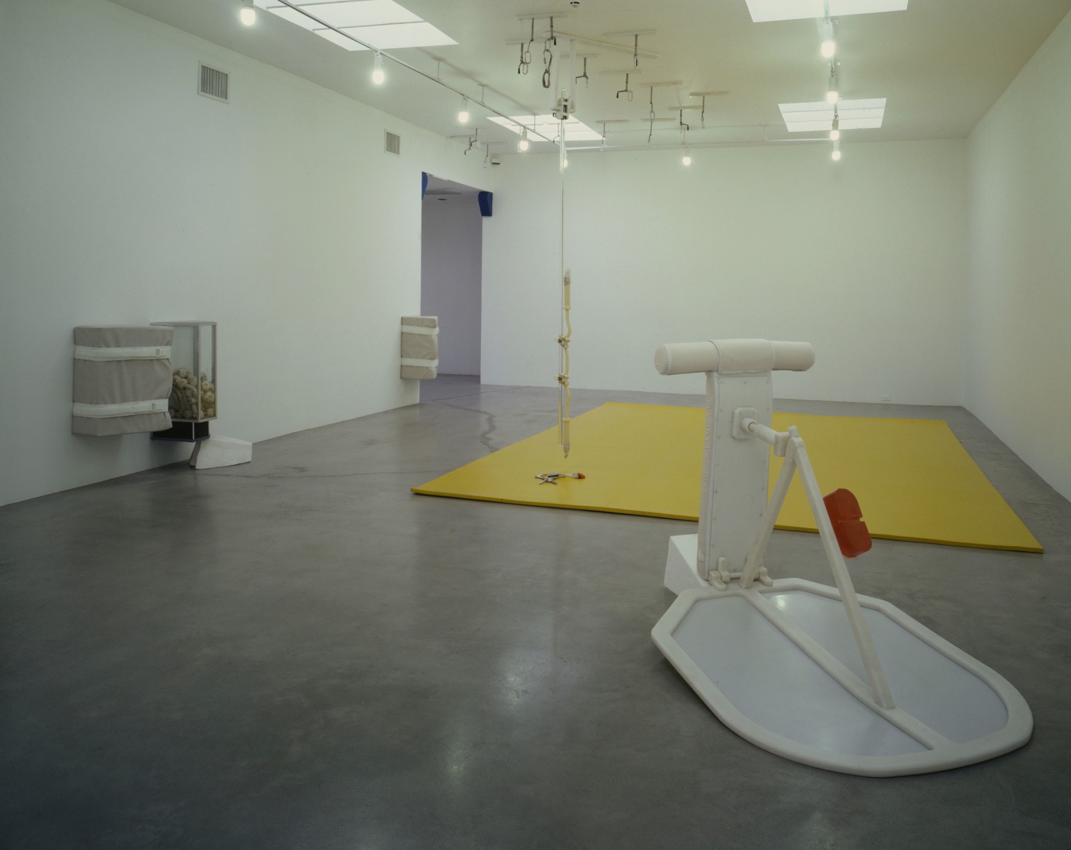 Matthew Barney - Artists - Regen Projects