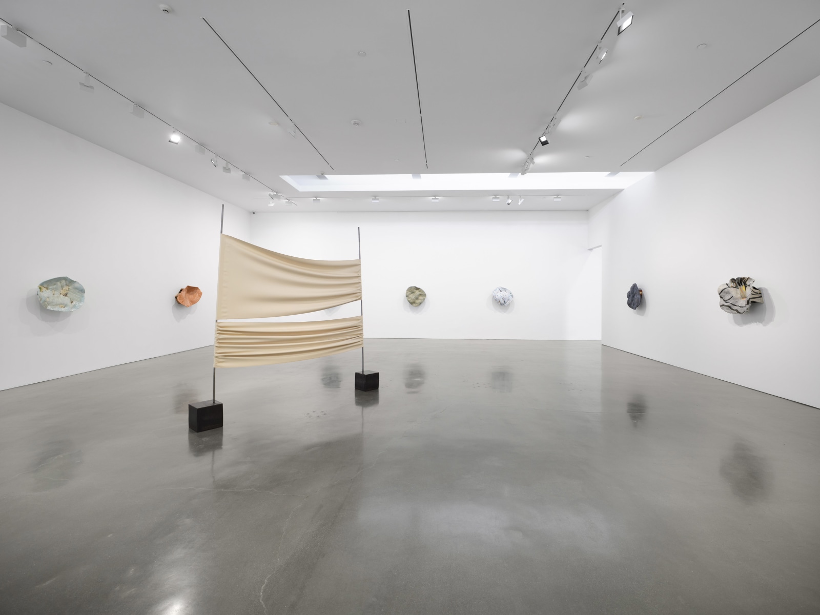 Liz Larner - Exhibitions - Regen Projects