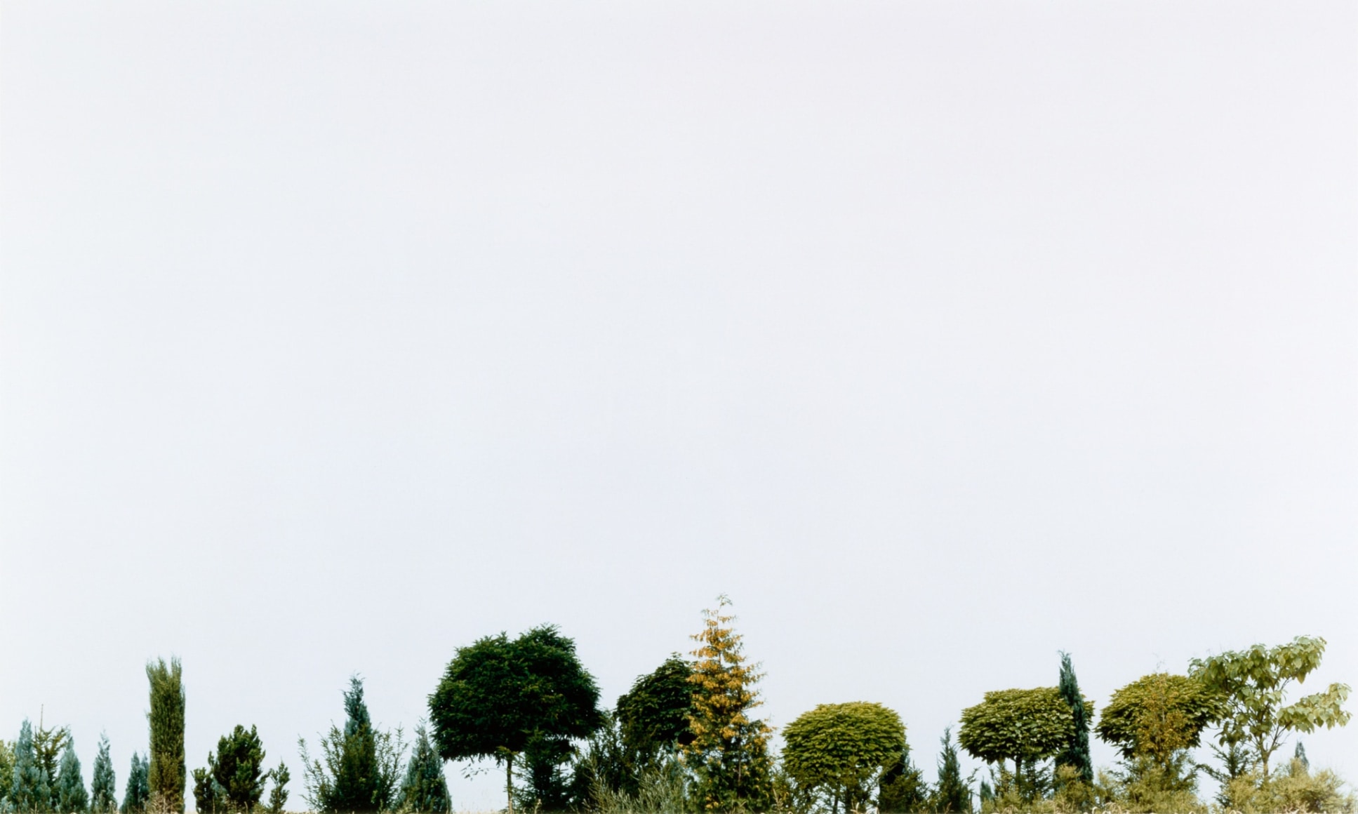 Collier Schorr - There I Was - GALLERY EXHIBITIONS - 303 Gallery