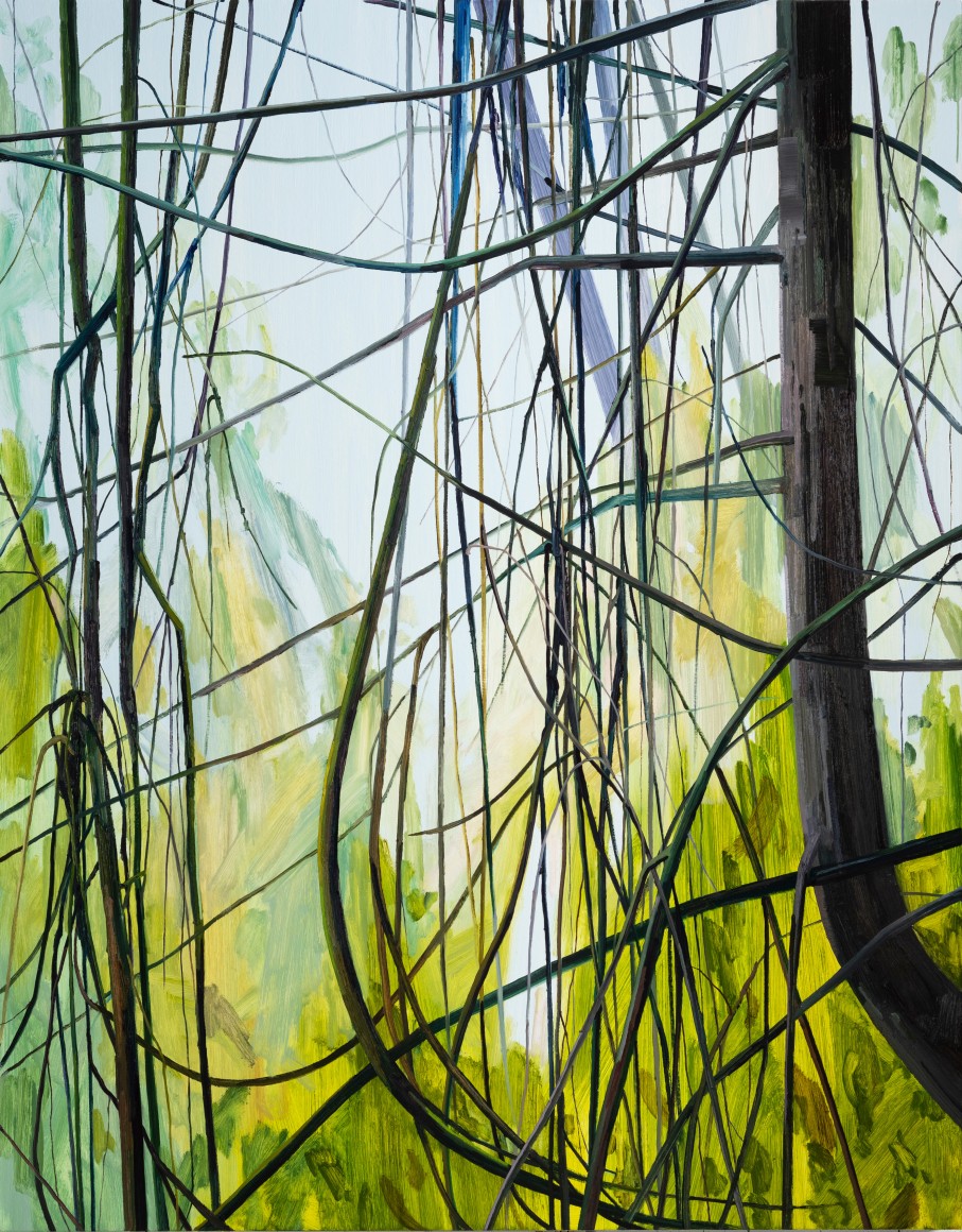 Claire Sherman - Artists - DC Moore Gallery