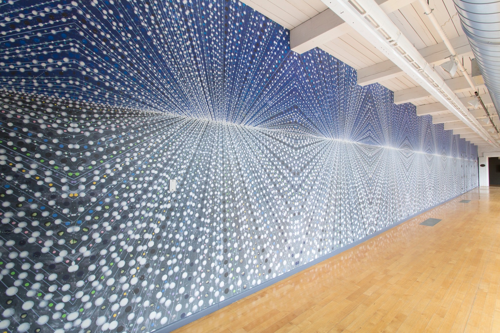 Barbara Takenaga - Artists - DC Moore Gallery