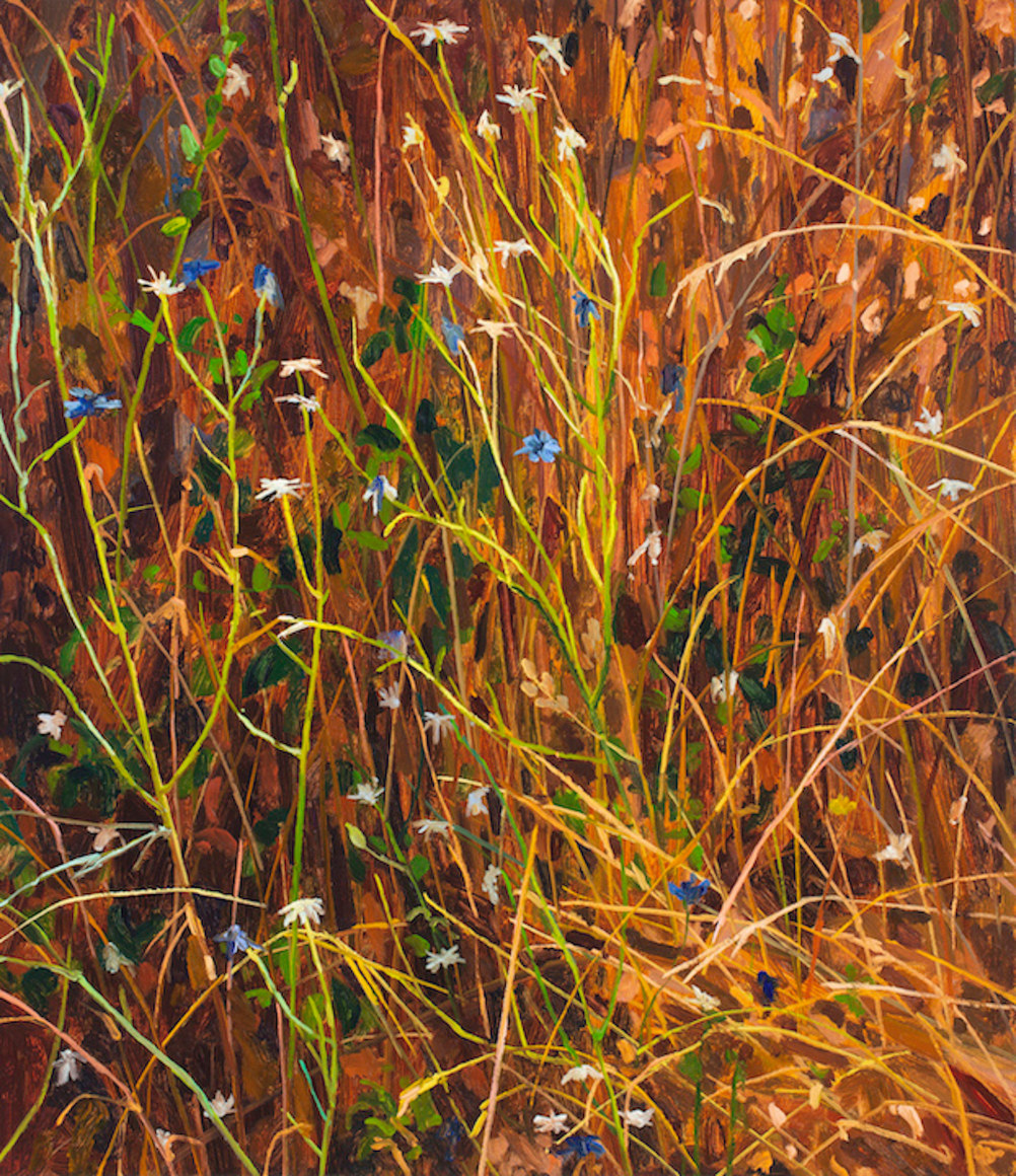 Claire Sherman - Artists - DC Moore Gallery