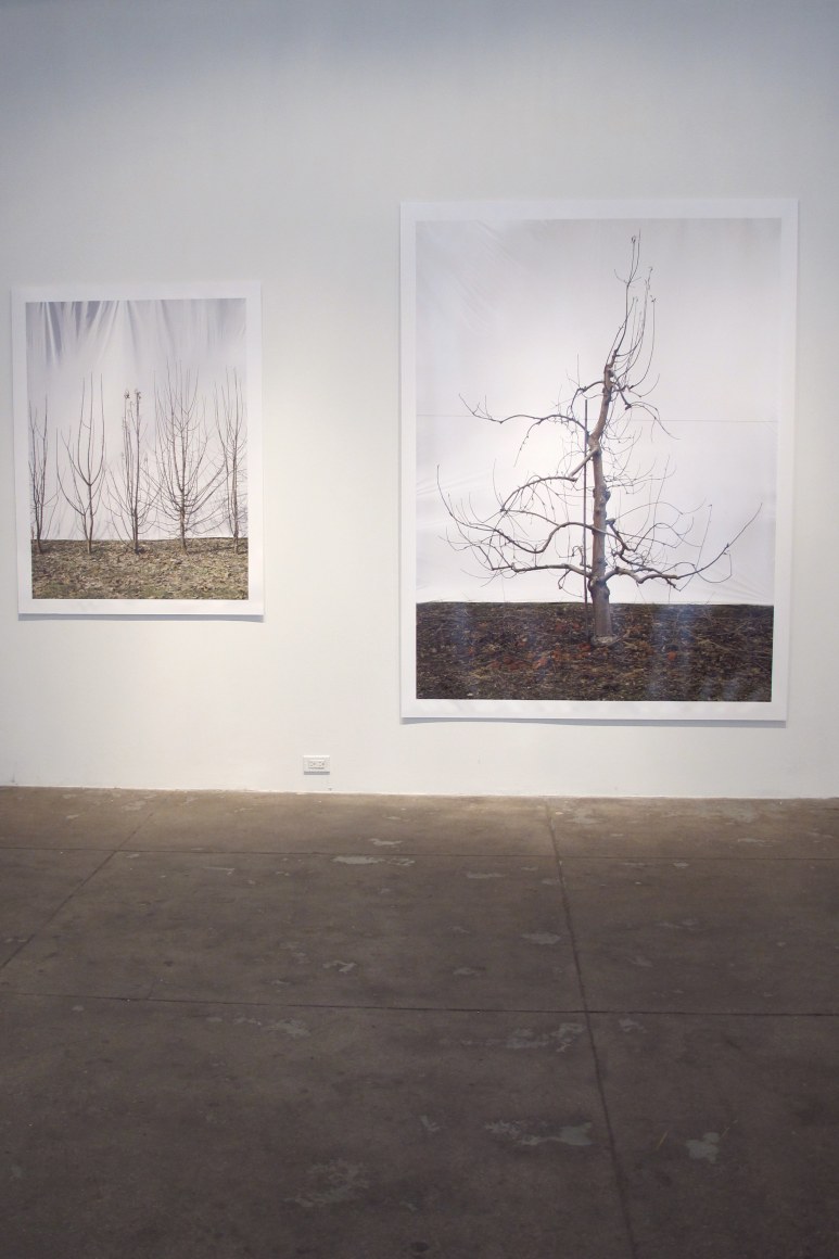 Jessica Rath - take me to the apple breeder - Exhibitions - Jack Hanley ...