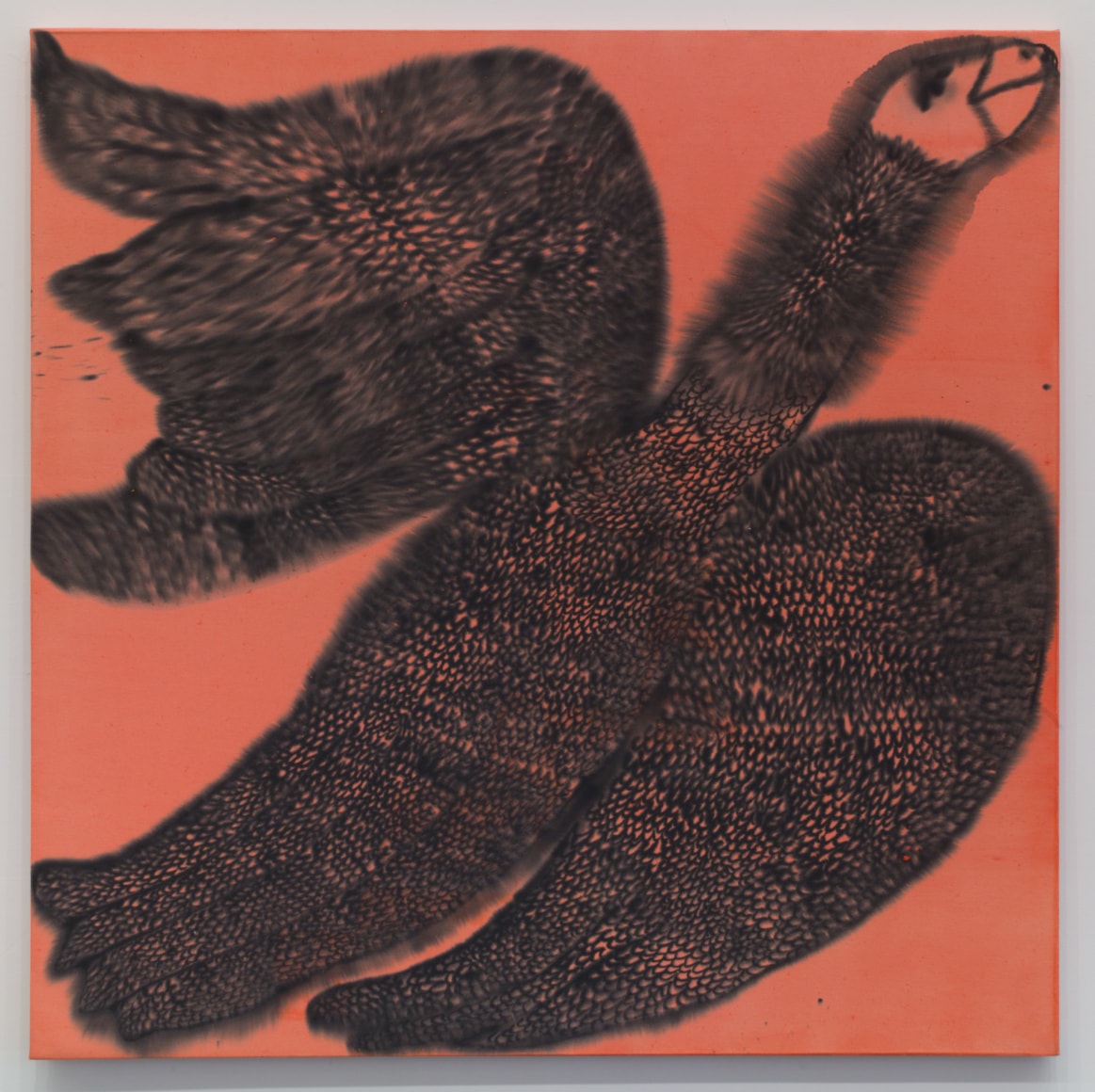 Emma Kohlmann - Artists - Jack Hanley Gallery