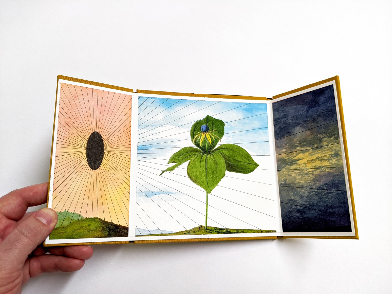 Jonathan Cowan - Artists - Owen James Gallery