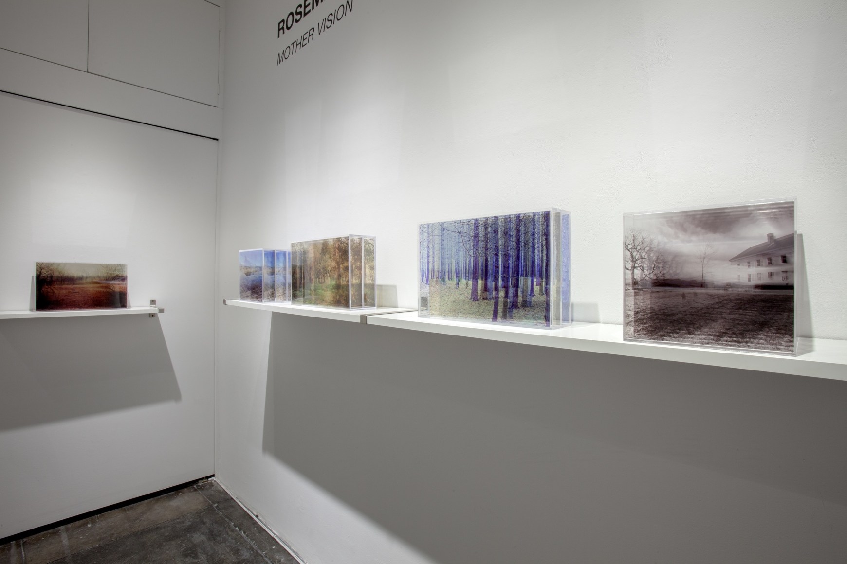 ROSEMARY SCOTT-FISHBURN - Mother Vision - Exhibitions - FERRARA SHOWMAN ...