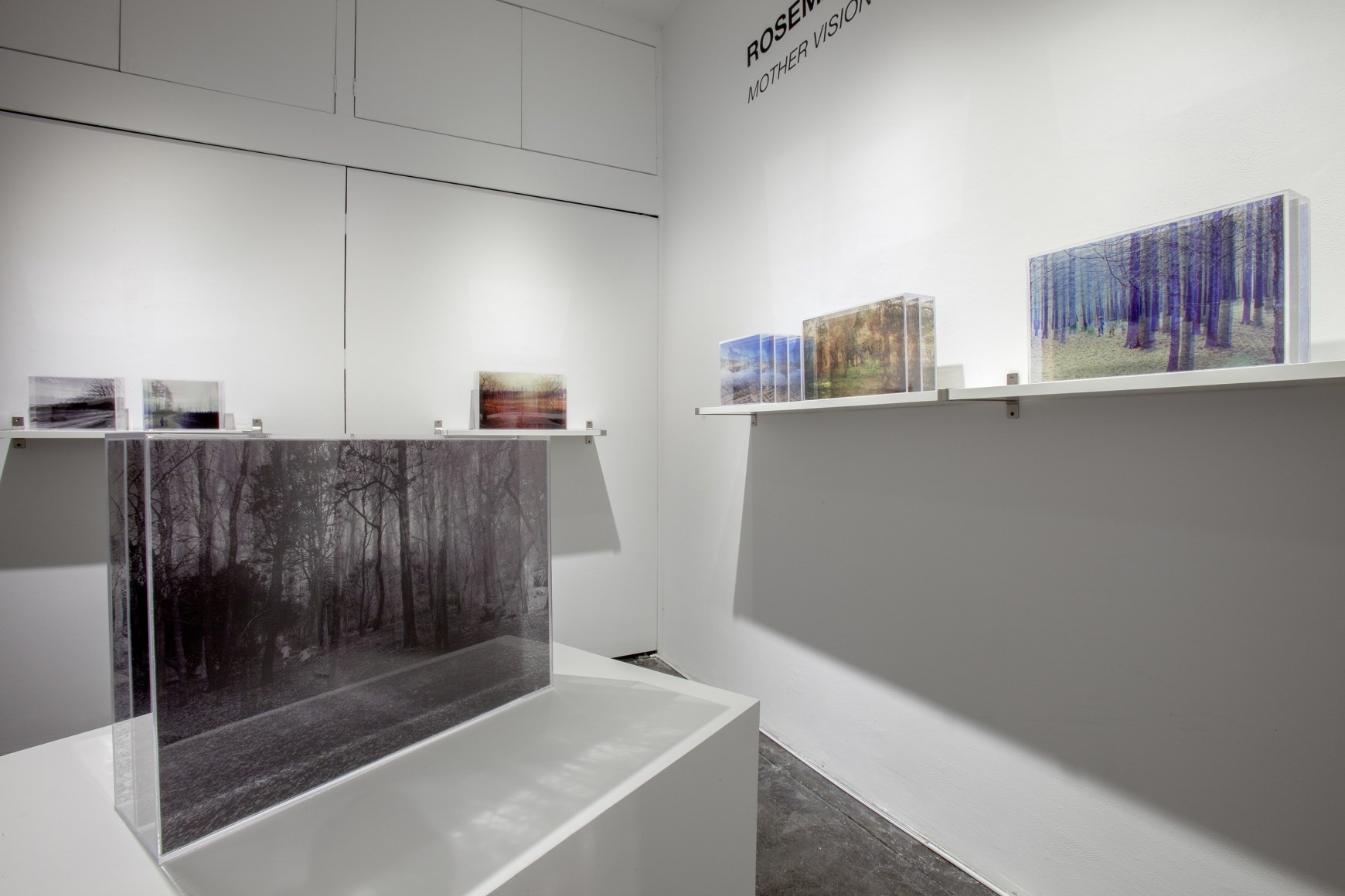 ROSEMARY SCOTT-FISHBURN - Mother Vision - Exhibitions - FERRARA SHOWMAN ...