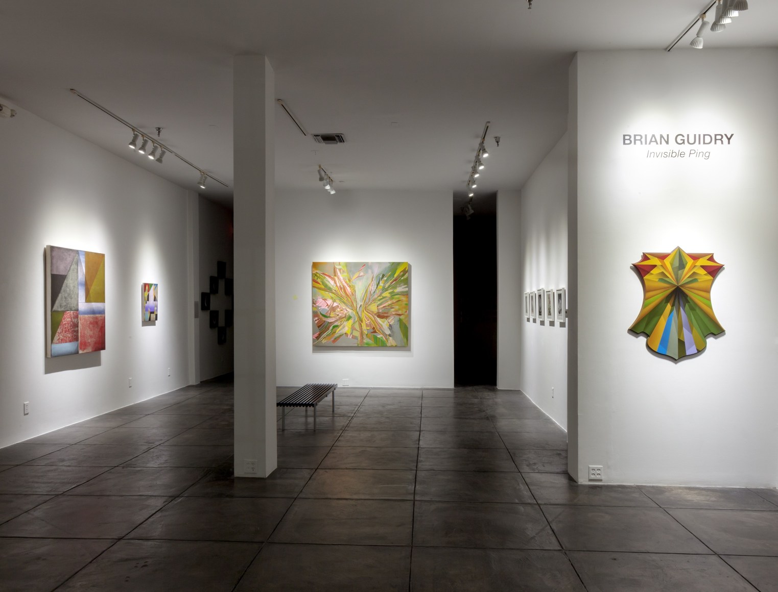 BRIAN GUIDRY - Invisible Ping - Exhibitions - FERRARA SHOWMAN GALLERY