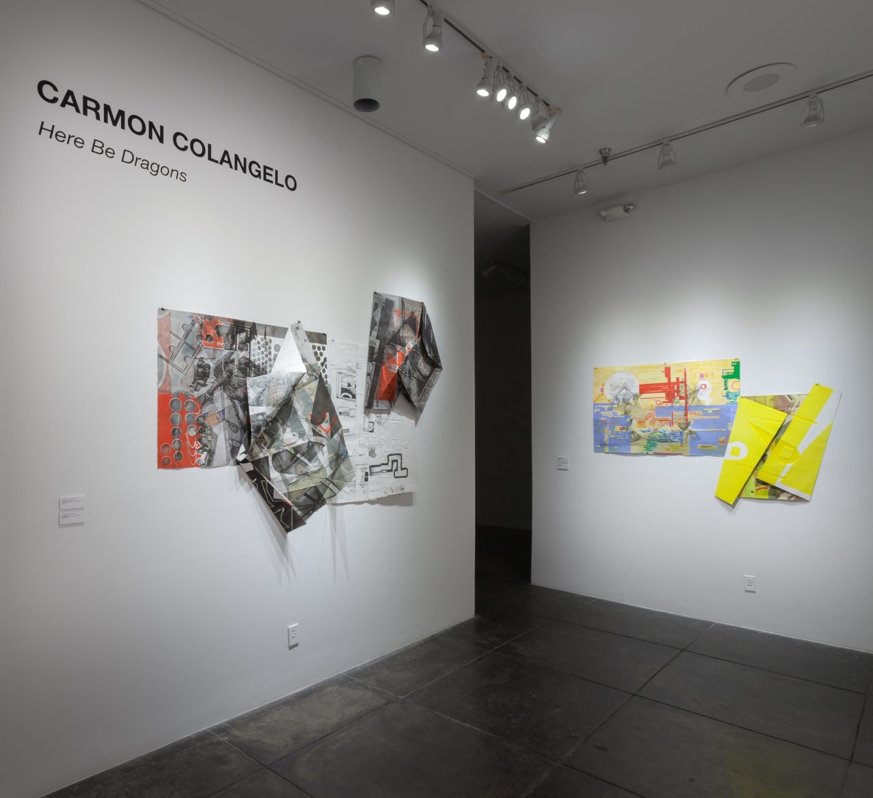 CARMON COLANGELO - Here Be Dragons - Exhibitions - FERRARA SHOWMAN GALLERY