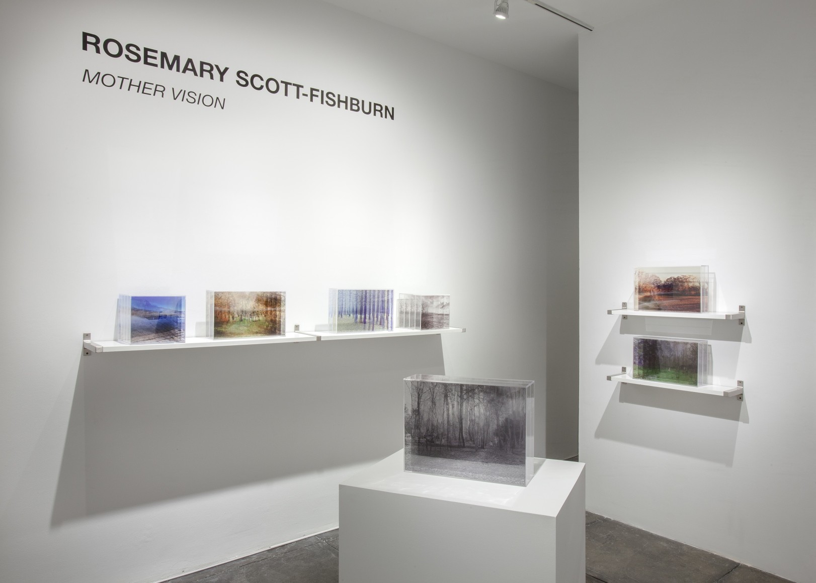 ROSEMARY SCOTT-FISHBURN - Mother Vision - Exhibitions - FERRARA SHOWMAN ...