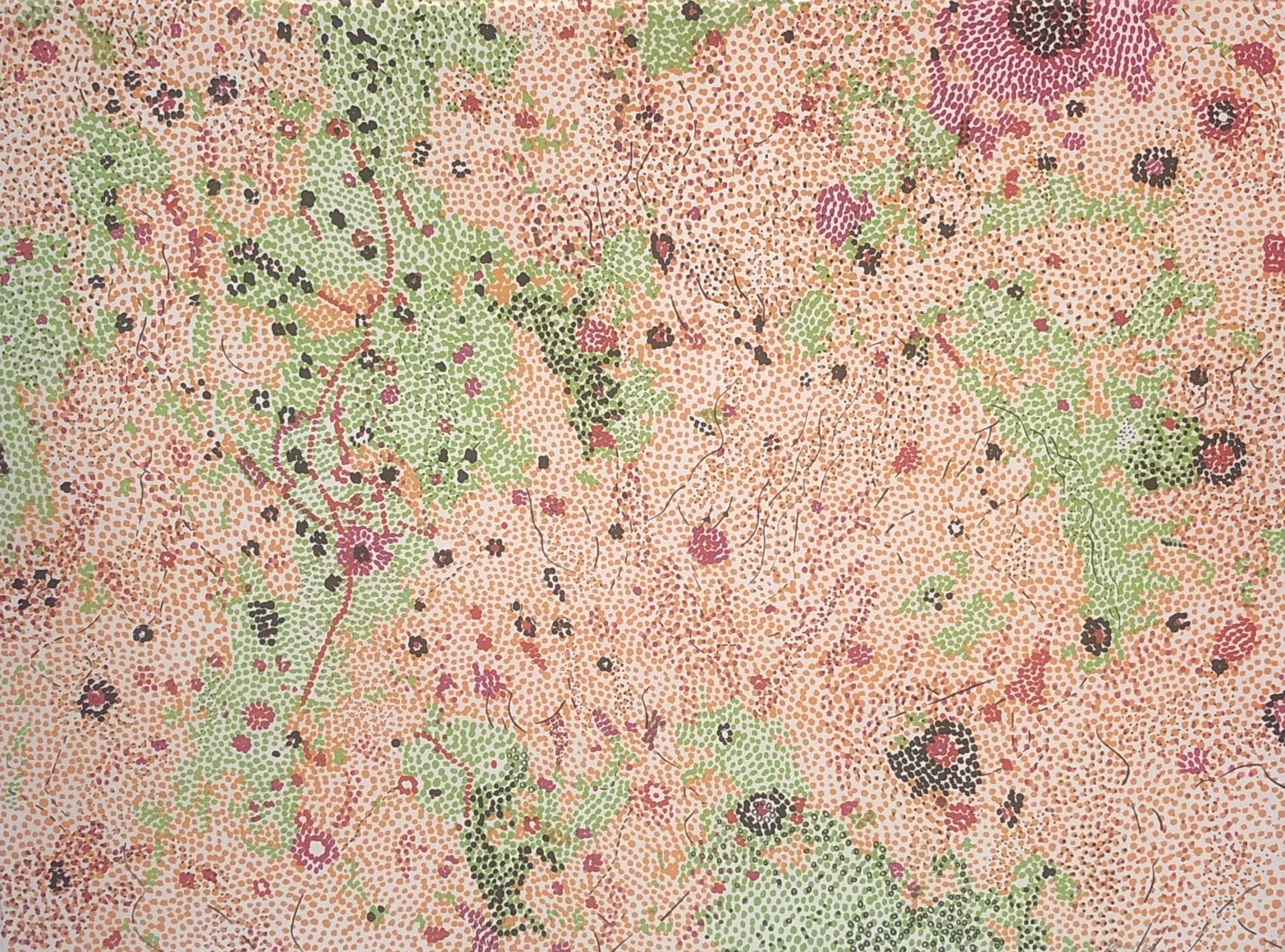 Nancy Graves (American, 1939-1995) - Artists - Anders Wahlstedt Fine Art