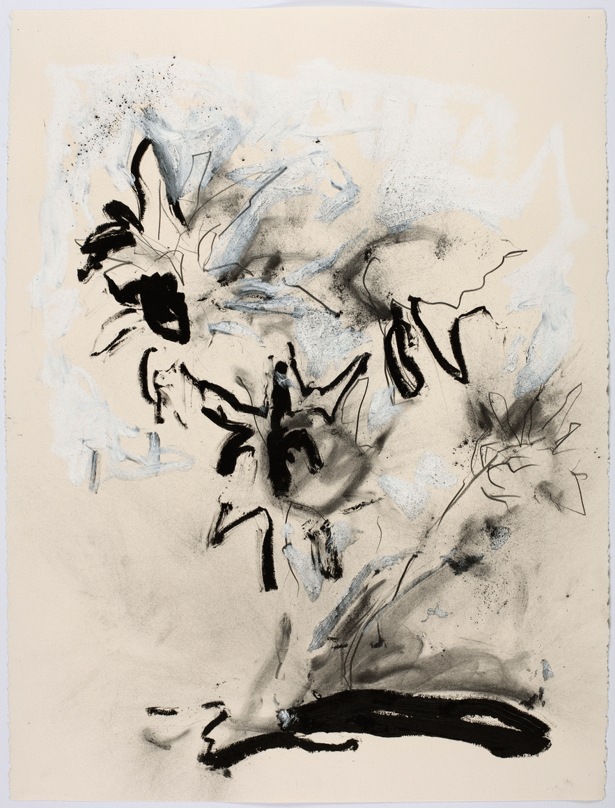 Joseph Havel - Artists - Anthony Meier